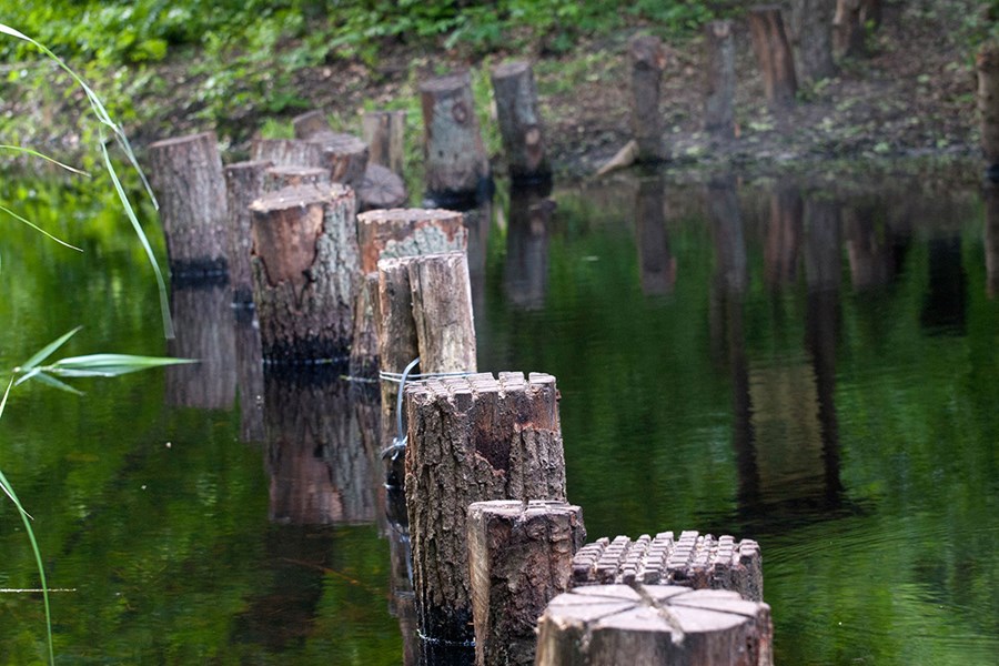 Gruppenhaus Schloss Gadow | HORiZONTE Reisen